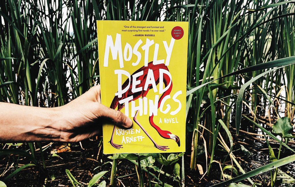 Book Review: Mostly Dead Things - Independent Book Review