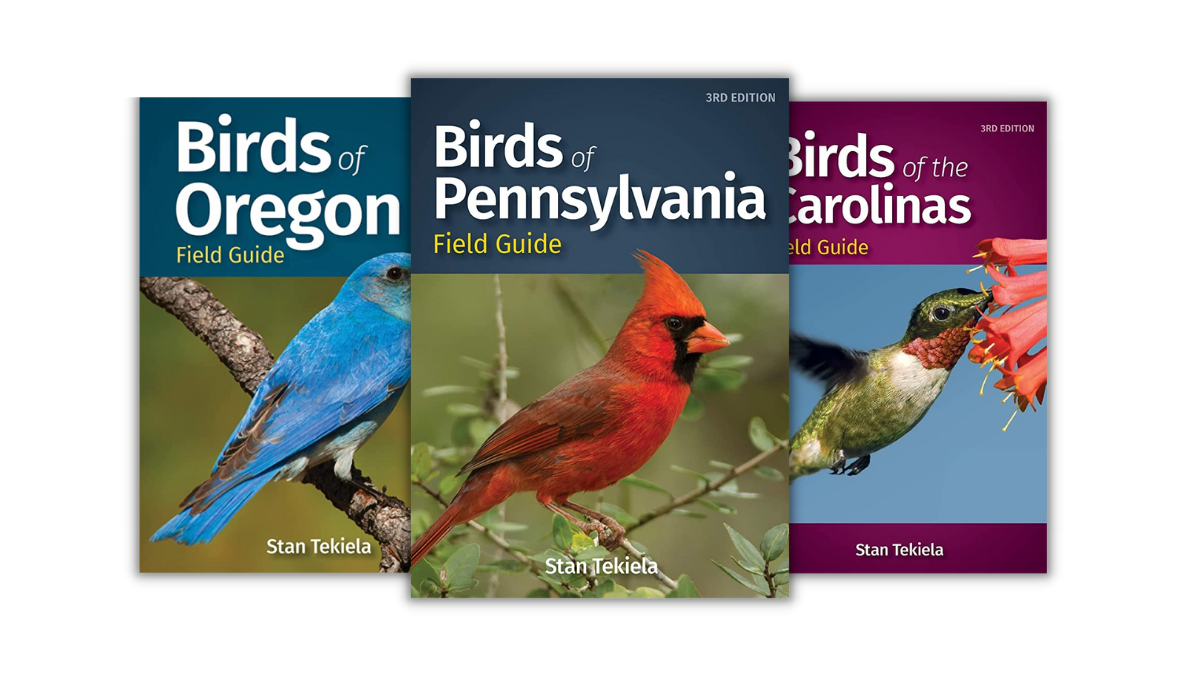 21 Bird Books for the Birder in All of Us