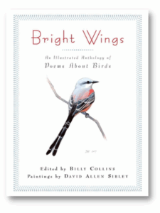 21 Bird Books for the Birder in All of Us