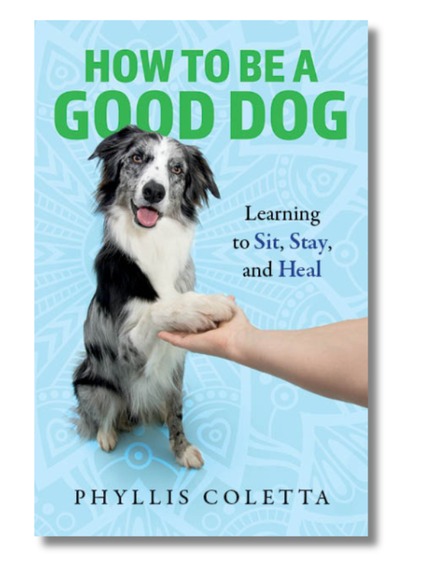 Book Review: How to Be a Good Dog by Phyllis Coletta